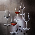 Vinoteque Romglas Spirits/Snifter 17 cl 2-pack - Cervera